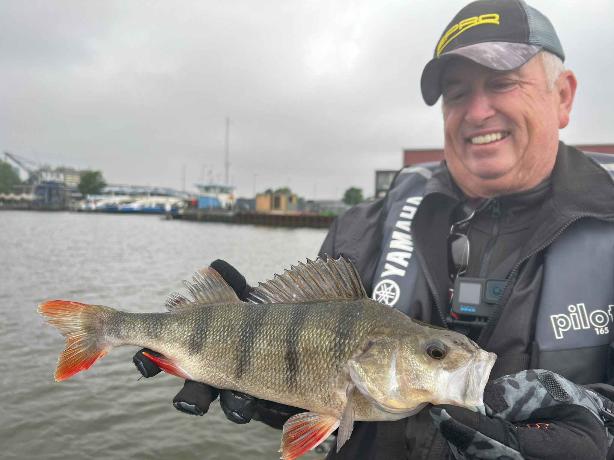 Fishing the Canals in Amsterdam: A Unique Sportfishing Experience ...